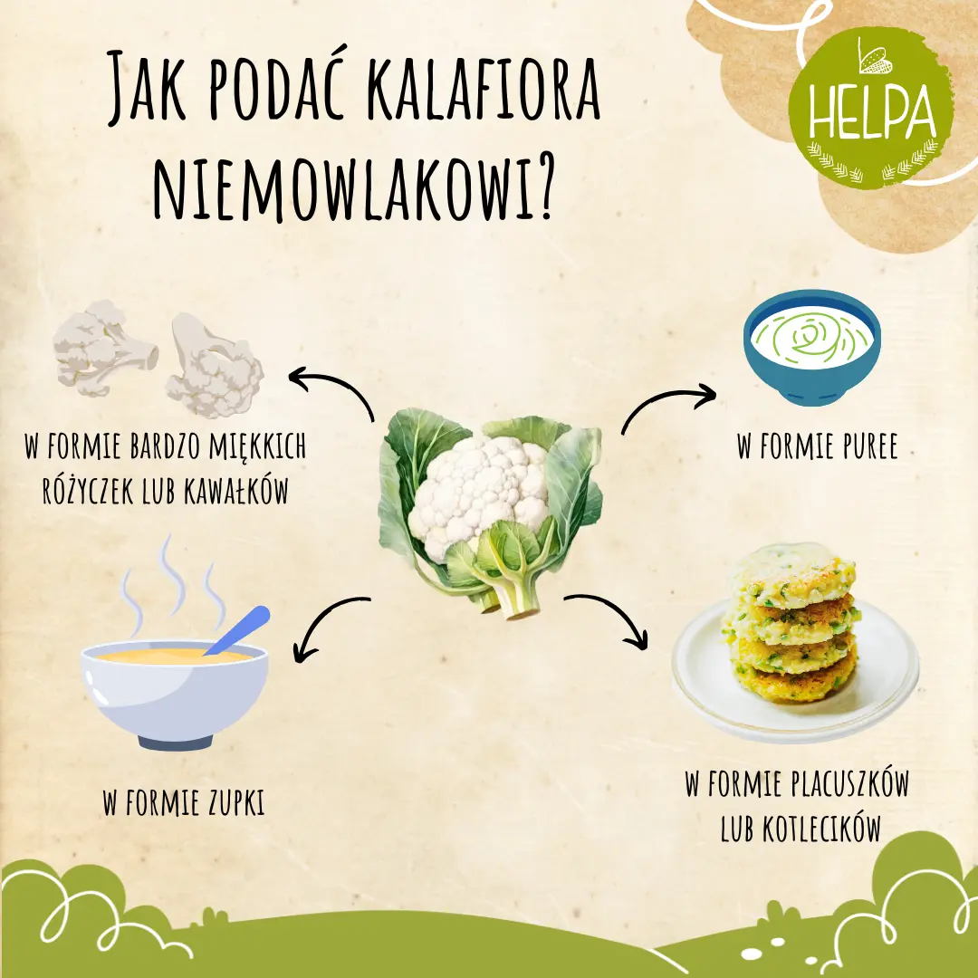 Kalafior dla niemowlaka - od kiedy podawać? Najlepsze przepisy | HELPA